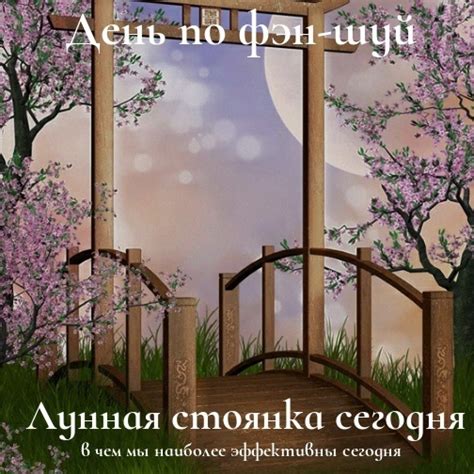24 января. День по фэн-шуй. Лунная стоянка 13. Дом Черной Черепахи ...