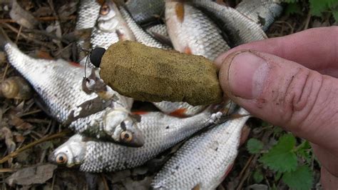 Ловля на ЖИДКУЮ прикормку / FISHING - YouTube
