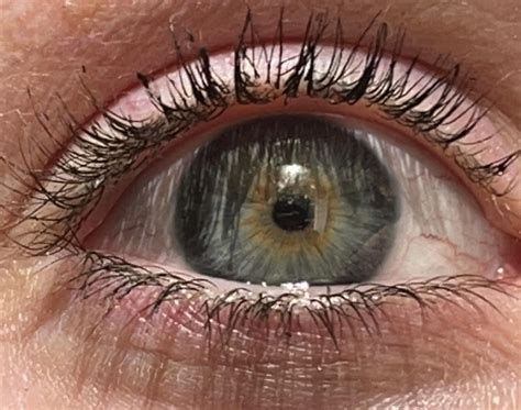 Identifying true eye color : r/biology
