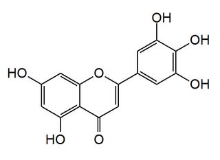 Define-910137: Biochanin A