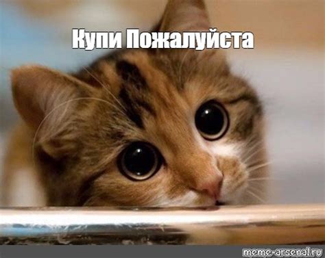 Meme: "Купи Пожалуйста" - All Templates - Meme-arsenal.com