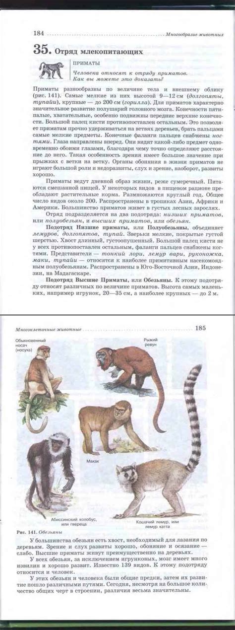Читать онлайн учебник по биологии за 7 класс Латюшин Шапкин
