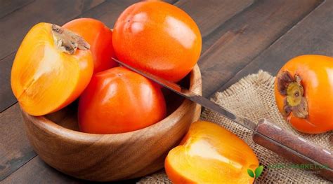 Посадка хурмы, как правильно посадить хурму на участке – Agro-Market