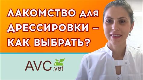 Как выбрать лакомство для дрессировки? Советы ветеринарного врача ...