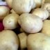 Картофель Сифра: описание и характеристики, особенности посадки и ...