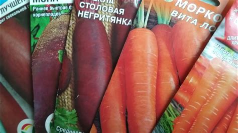 Семена свеклы и моркови - YouTube