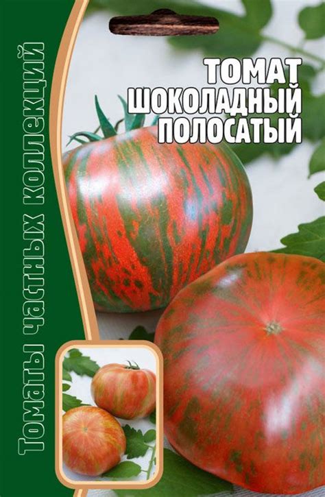 Томат Полосатый шоколад: характеристика и описание селекционного сорта ...