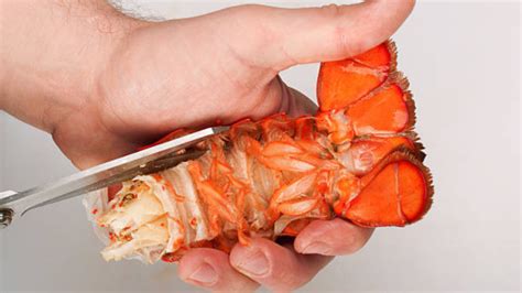 How to Cut Lobster: Prepare this Delectable Seafood