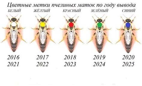 Опалитки (мечение/метка маток) — Мечение маток опалитками