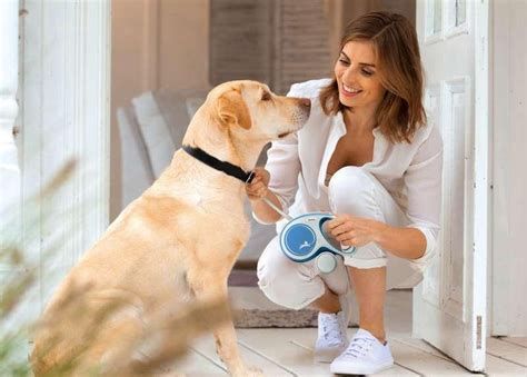 Flexi (Флекси) New Comfort ХS - Поводок-рулетка для собак мелких пород ...