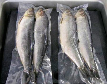 Купить вакуумные пакеты для рыбы, упаковка рыбы, вакуумные пакеты оптом