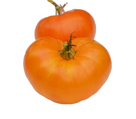 Peaches and Cream – Zaļumnīca