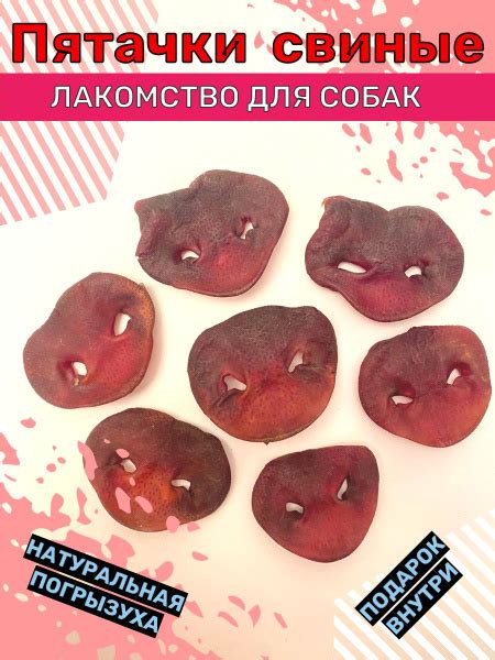 Свиные пятачки лакомство для собак - купить с доставкой по выгодным ...
