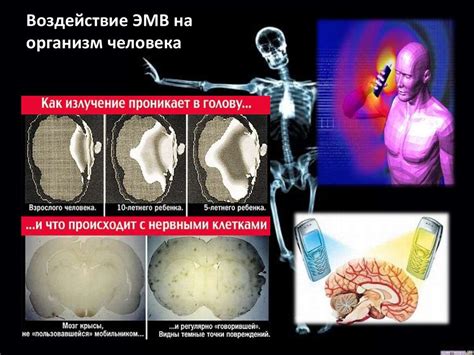 Шкала электромагнитных волн. Виды, свойства и применение - презентация ...