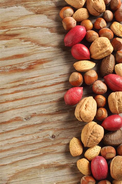 Tasty nuts stock photo. Image of nutrition, design, natural - 8692332