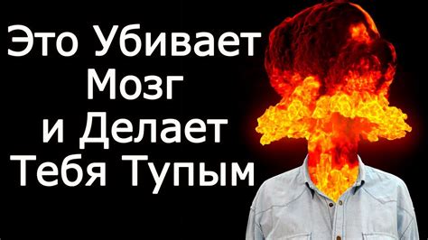 10 убийц мозга, делающих тебя тупым – Что убивает и разрушает мозг НЕ ...