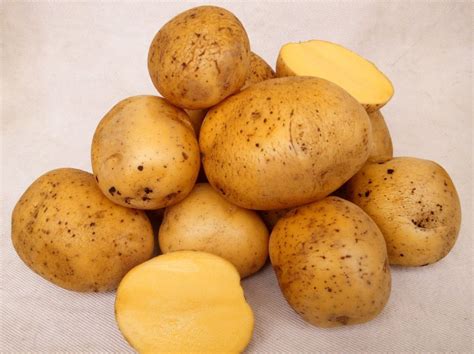 Сорта картофеля с желтой мякотью. Описание с фото - Картофель