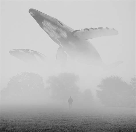 Infernum on Behance