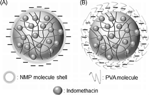 Indomethacin-loaded PLGA nanoparticles prepared by ( A ) antisolvent ...