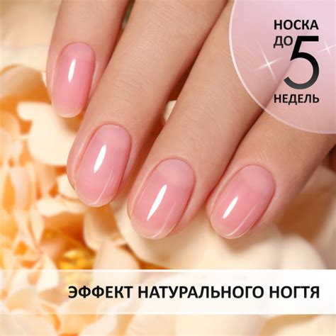 FOXY EXPERT ::: 10 мл. Каучуковая камуфлирующая нюдовая база для ногтей ...
