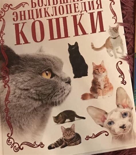 Книга энциклопедия о кошках – купить в Москве, цена 250 руб., продано 6 ...