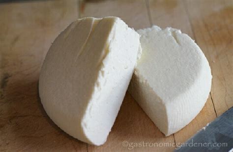 Homemade Paneer