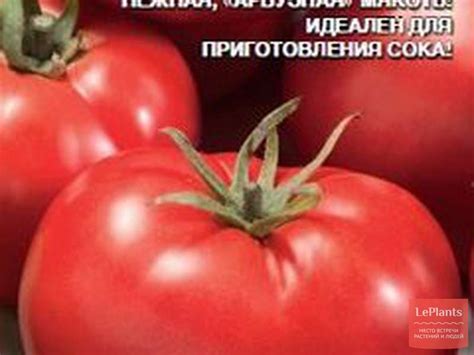 Томат 'Барыня F1' — описание сорта, характеристики | на LePlants.ru